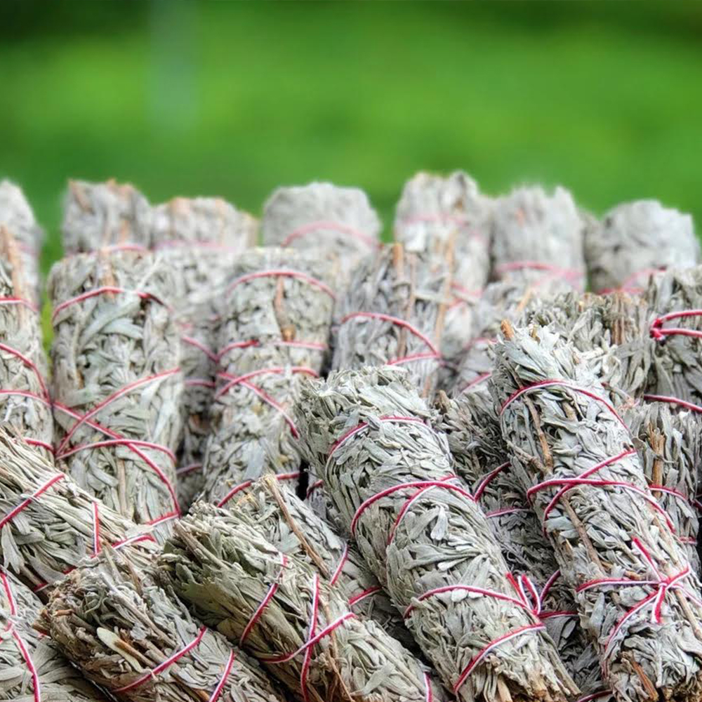 *Featured - Pure Californian Blue Sage Superior Quality 4 Inch - The ...